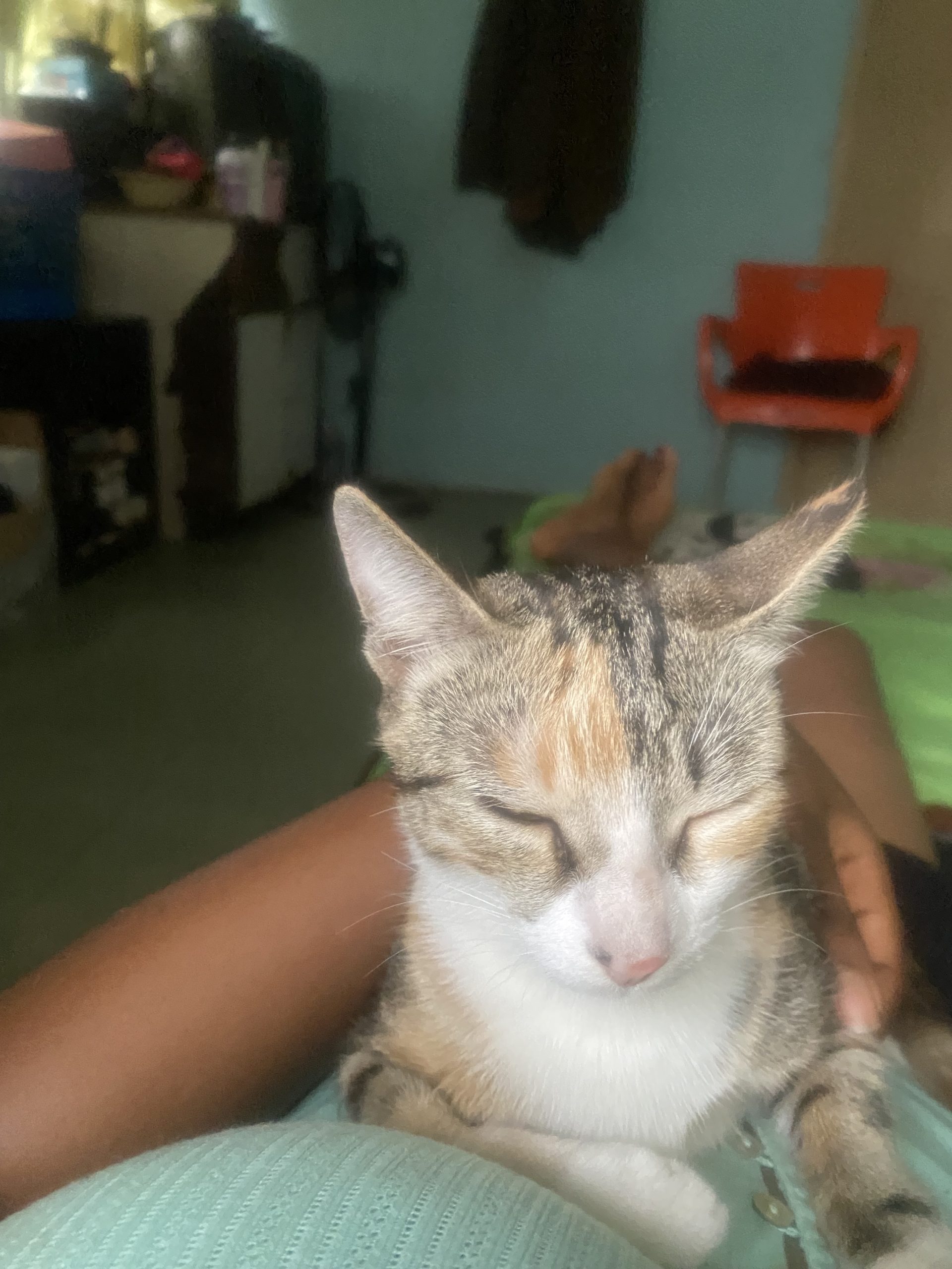 Crowdfunding Campaigns